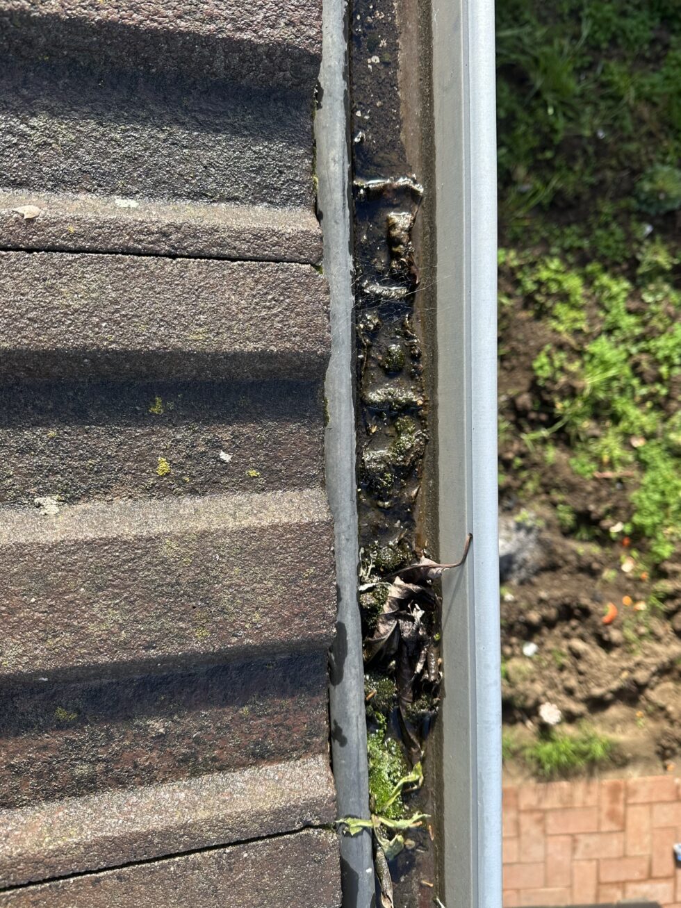 GUTTER CLEANING - GUTTERSWEEP AUSTRALIA